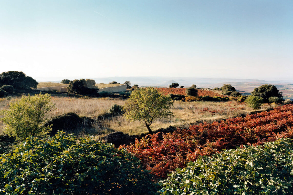 Bodega Lanzaga - Maze Row Wine Merchant